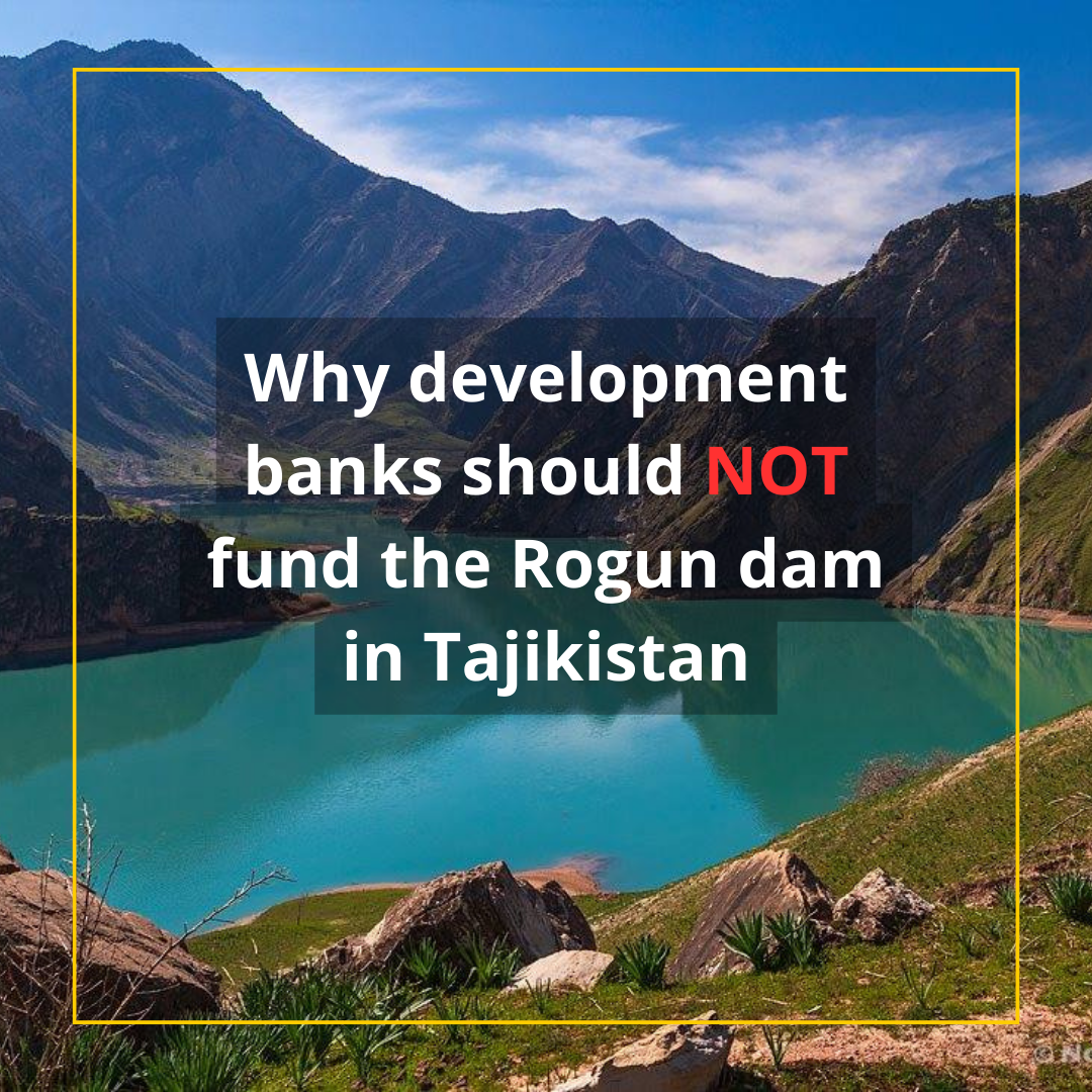 Civil Society Organizations appeal to international banks and funds ...