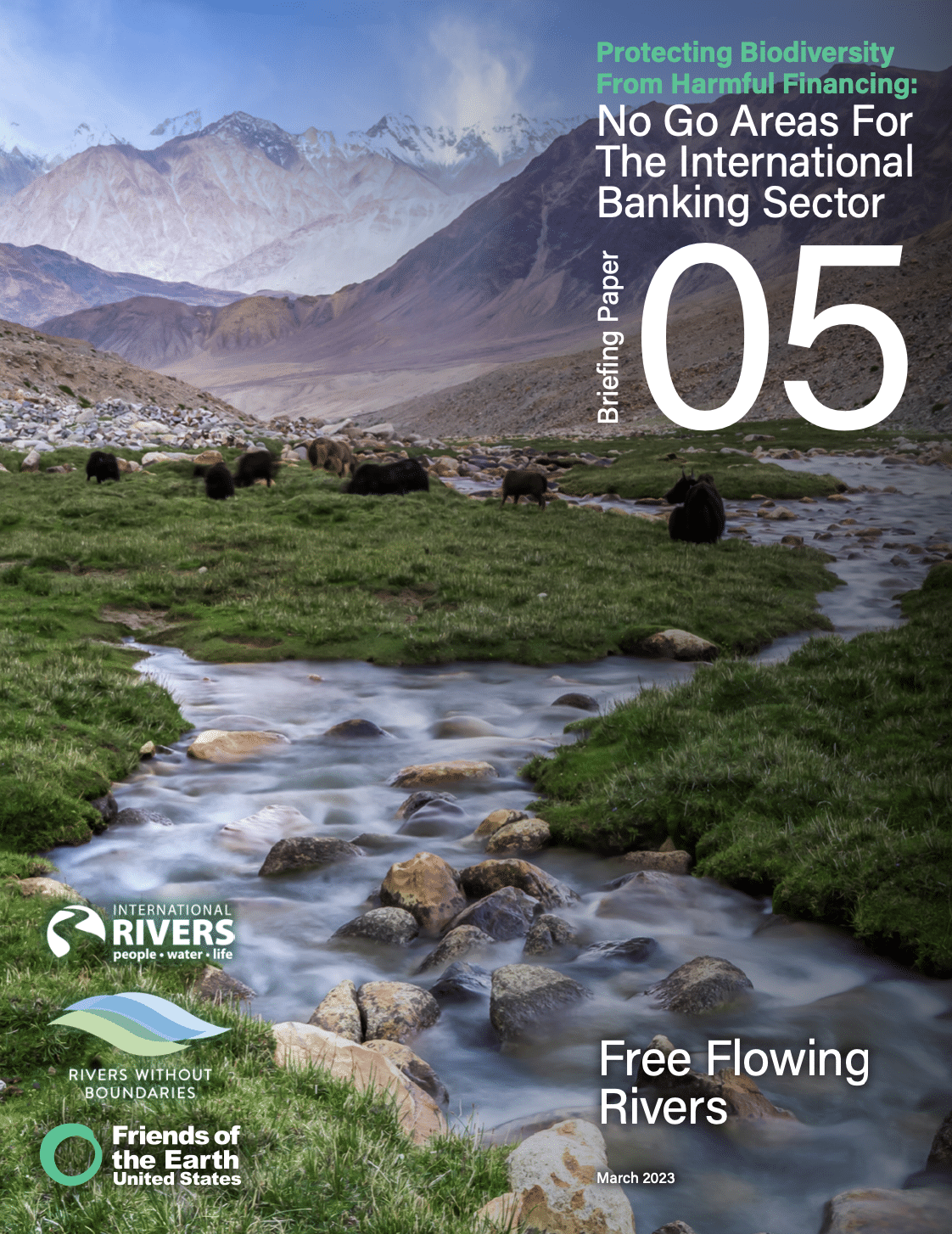Protecting Free Flowing Rivers – briefing for banks how to avoid harm – Rivers without Boundaries