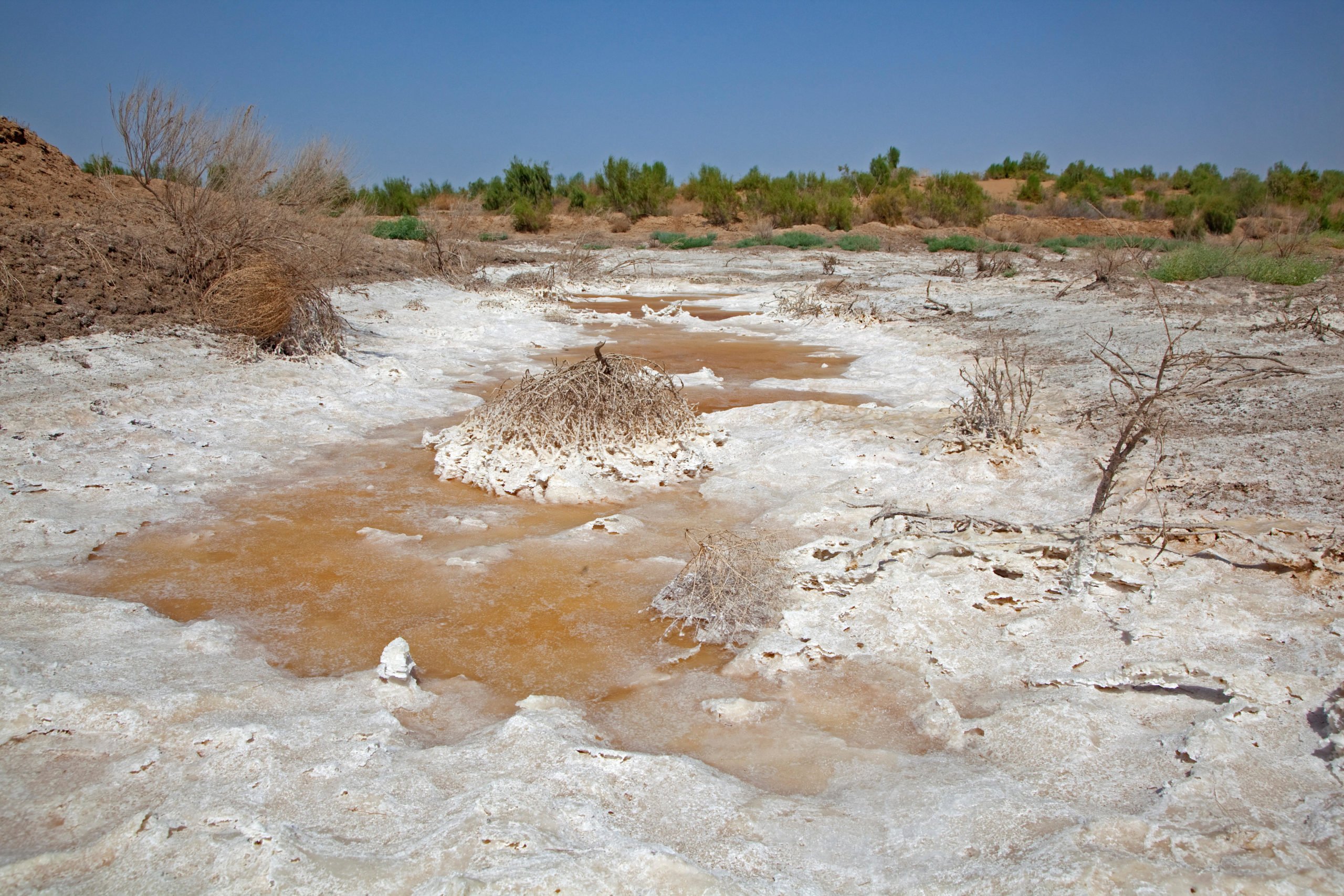 New Canal Construction by Taliban Exacerbates Water Crisis in the Aral ...