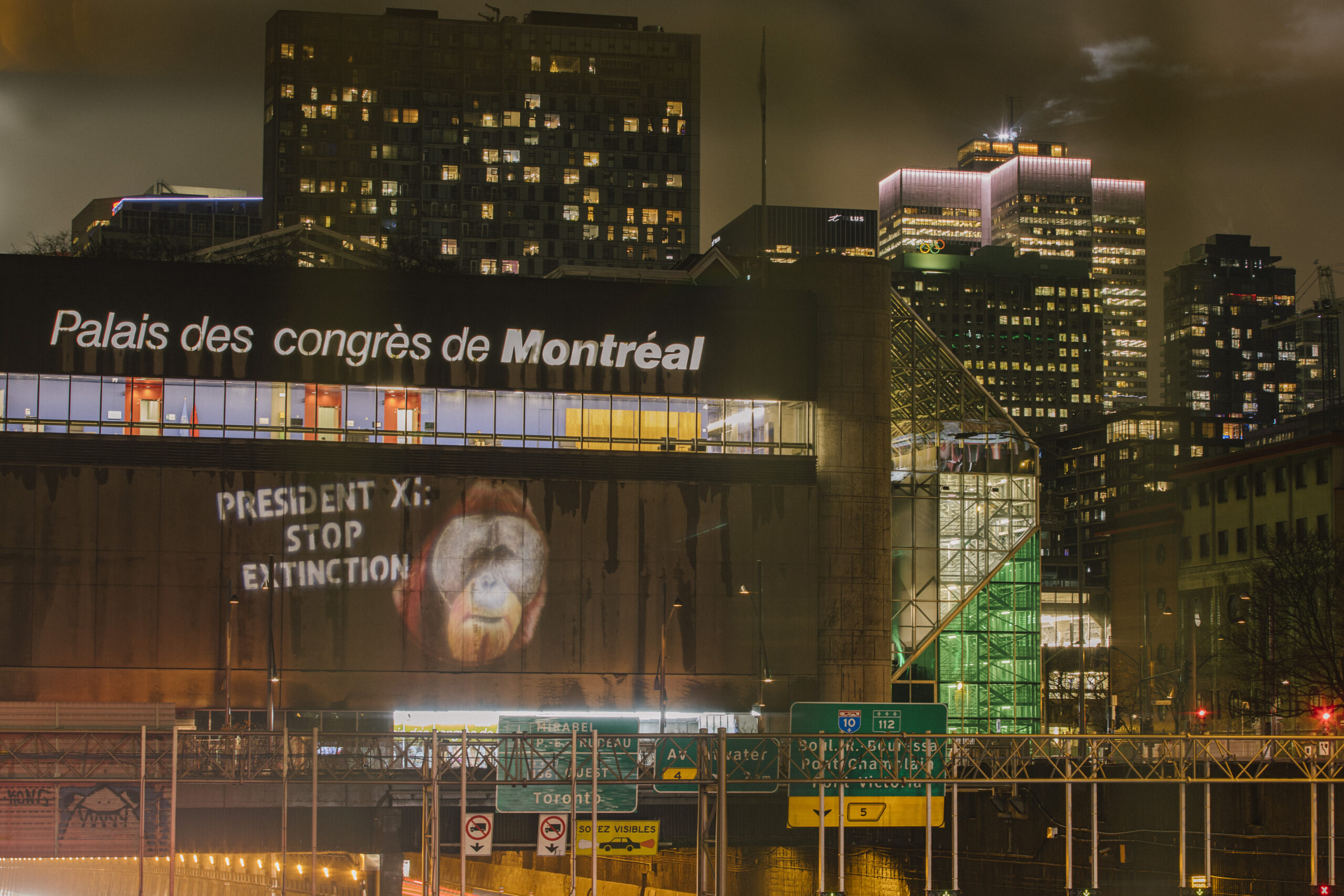 Call on Chinese Actors to Stop Extinction: 90 Civil Society Groups Call ...