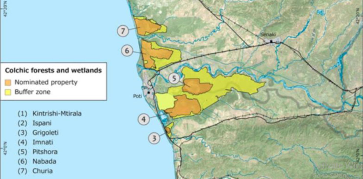 Georgia Should Take Urgent Measures to Protect Rioni River Biodiversity ...